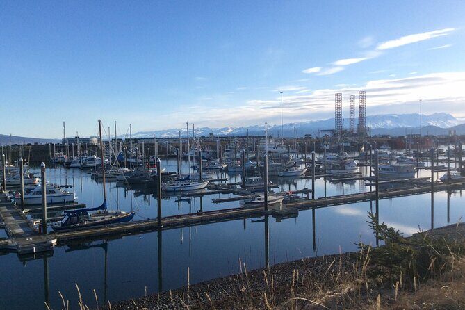 Whittier to Anchorage Sightseeing with Wildlife Tour - Analyzing the Experience: What to Expect