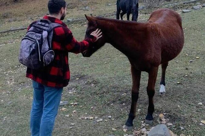 Whole day Wine Tour to Kakheti from Tbilisi - Final Thoughts