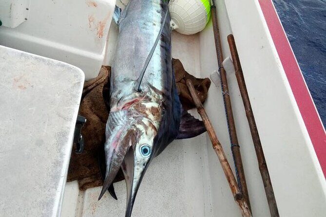 Wholesale Fishing in Poti Marara at Tahiti Teahupoo Peninsula - The Sum Up