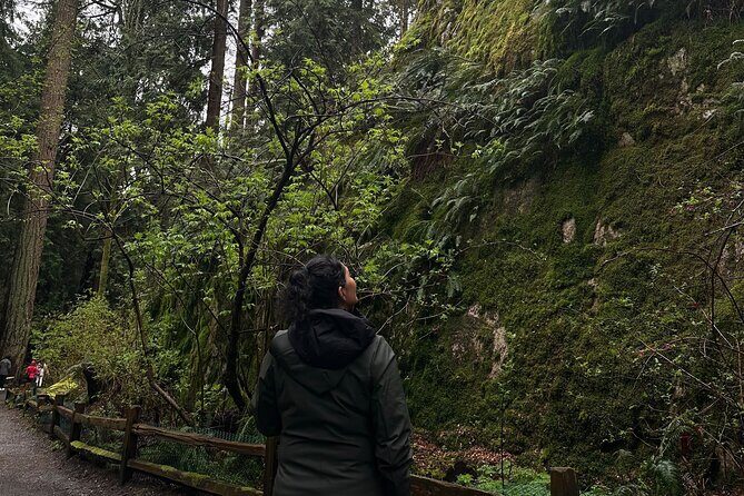 Whytecliff Park Indigenous Salish Sea Walking Tour - Key Points