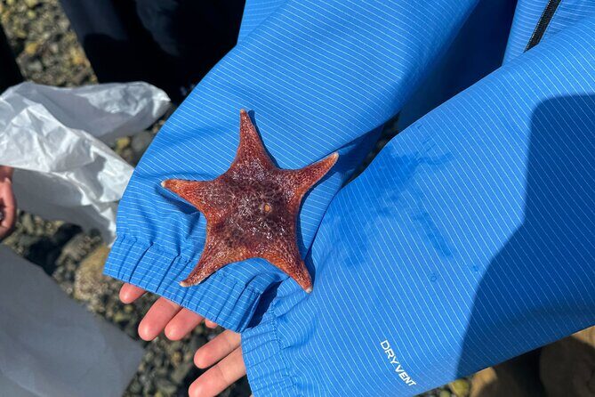Whytecliff Park Indigenous Salish Sea Walking Tour - Who Should Join?