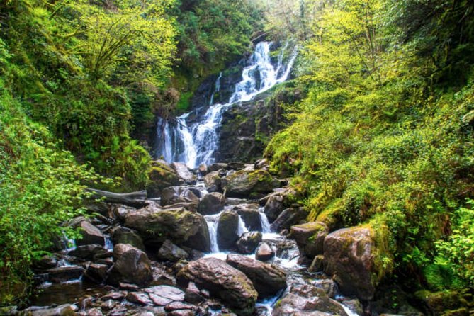 Wicklow Mountains & Glendalough Luxury Private Day Tour - Meet Our Knowledgeable Guides