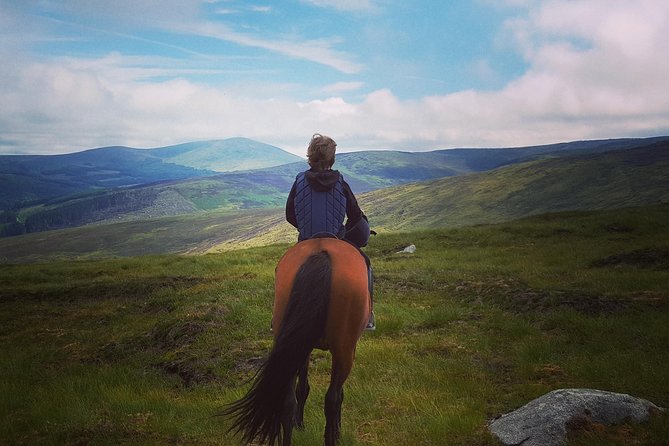 Wicklow Mountains Horse Trekking Review - About Your Stay