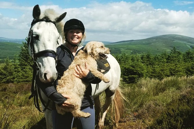 Wicklow Mountains Horse Trekking Review - Inclusions and Requirements