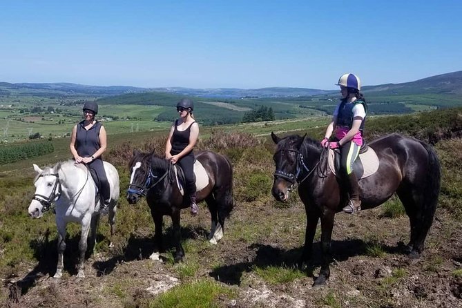 Wicklow Mountains Horse Trekking Review - Knowledgeable and Friendly Guides