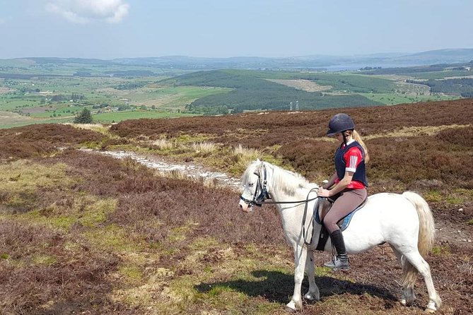 Wicklow Mountains Horse Trekking Review - Positive Traveler Feedback