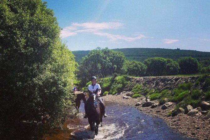 Wicklow Mountains Horse Trekking Review - Returning for Future Participation
