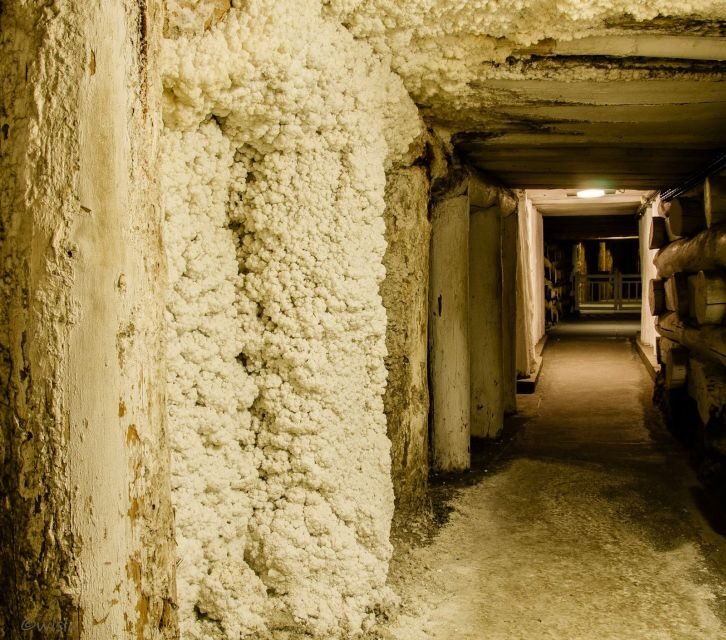 Wieliczka: Salt Mine Skip-the-Line Live Guided Tour - Price and Value