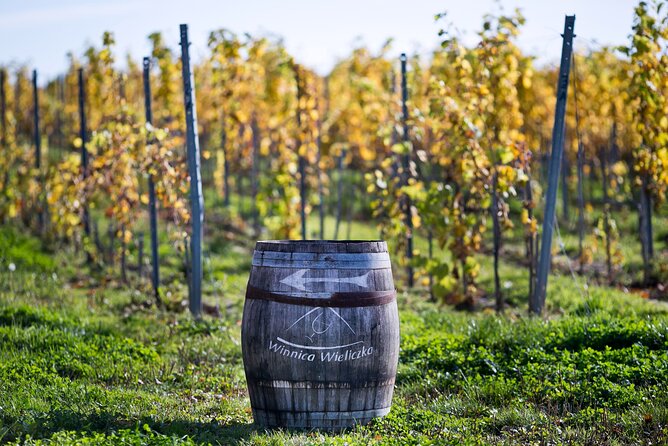 Wieliczka Vineyard: Wine tasting with local snacks - Discovering Wieliczka Vineyard: A Closer Look