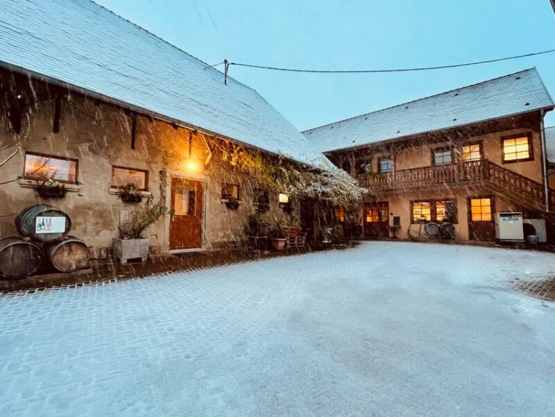 Wihr-au-Val: Wine Tasting and Cellar Tour - Important Information