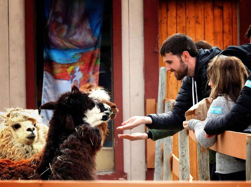 Wild Adventure Yukon + Summit Tour - The Sum Up