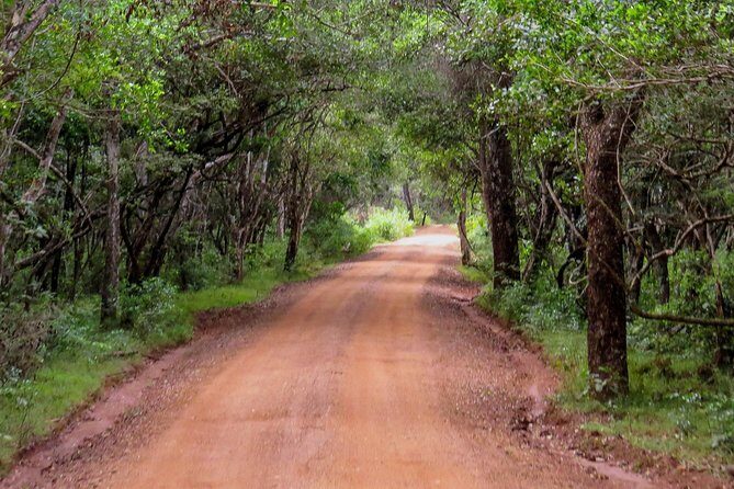 Wild Adventures Safari from Wilpattu - What Past Travelers Say