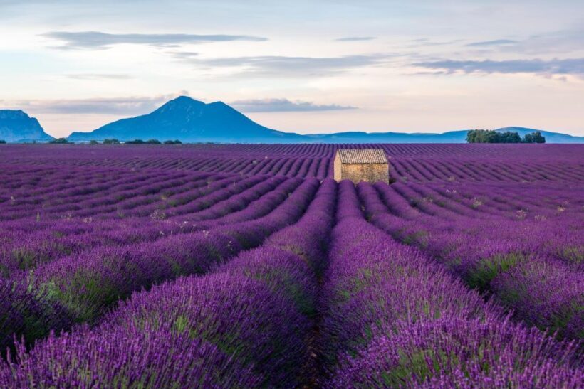 Wild Alps, Verdon Canyon, Moustiers village, Lavender fields - Practical Tips and Considerations