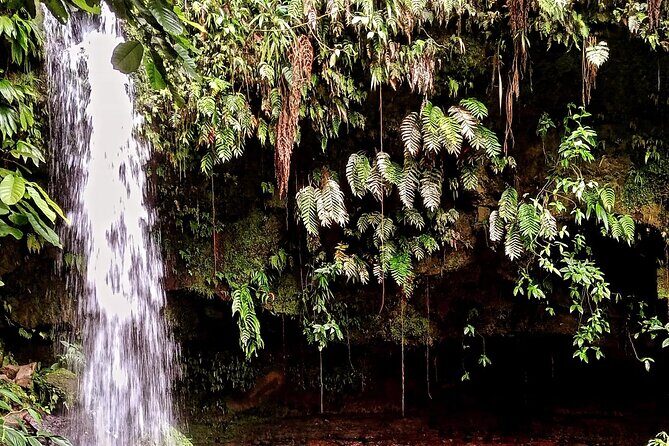 Wild and Medicinal Dominica Private Tour - Exploring the Waterfalls and Scenic Spots