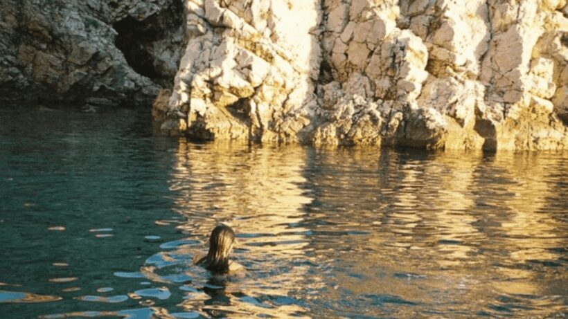 Wild Bays and Plavnik Island: A whole day private boat tour - An In-Depth Look at the Tour