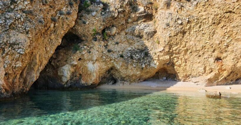 Wild Bays: Swimming and Snorkeling with Capt. Bobo (Private) - Final Thoughts