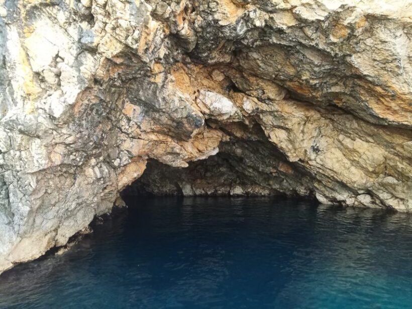 Wild Bays: Swimming and Snorkeling with Capt. Bobo (Private) - Frequently Asked Questions