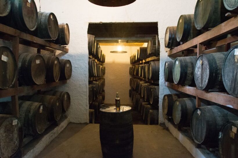 Wild Beaches and Brazilian Rum Farm with a Photographer - Who Would Love This Tour