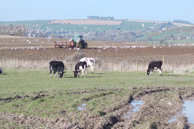Wild Coast Bike and EBike Tour in Kinsale Cork Ireland - An In-Depth Look at the Wild Coast Bike and E-Bike Tour