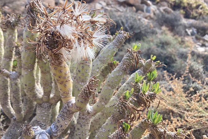 Wild coast nature experience and legends - Why This Tour Delivers Real Value