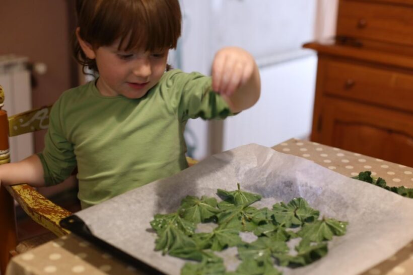 Wild experience: discover, cook & eat the local wild flora - Key Points