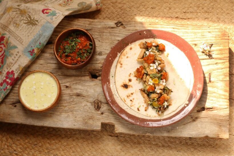 Wild experience: discover, cook & eat the local wild flora - An Introduction to the Wild Flora Experience in Catalonia
