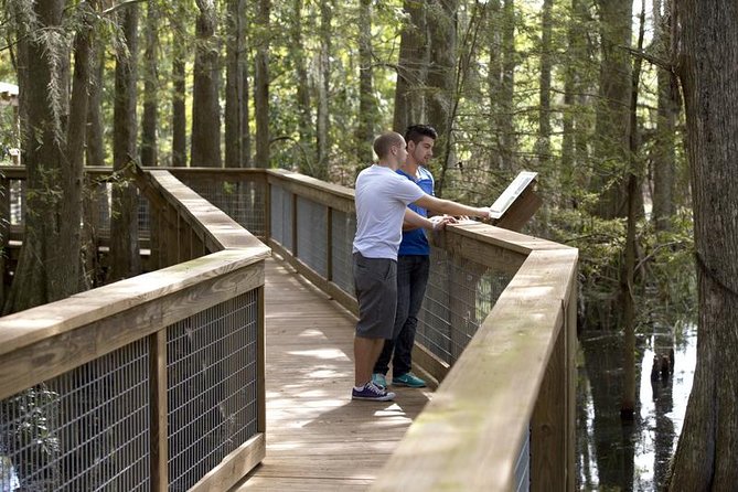 Wild Florida Adventure Package Tour with Transportation - In-Depth Breakdown of the Itinerary