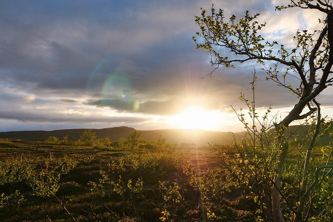 Wild Food & Foraging Hike with Open Fire Lunch - Exploring the Foraging Hike: What to Expect