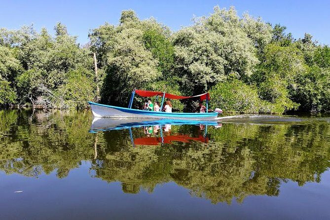 Wild & Free: Lagoon Boat, Beach Horseback, Crocs & Turtle Release - Exploring the Itinerary in Detail