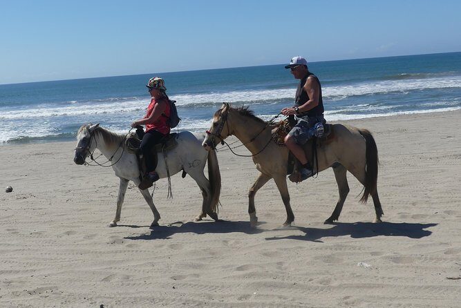 Wild & Free: Lagoon Boat, Beach Horseback, Crocs & Turtle Release - The Value of the Tour