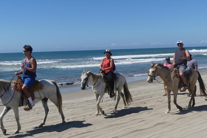 Wild & Free: Lagoon Boat, Beach Horseback, Crocs & Turtle Release - Who Will Love This Tour?