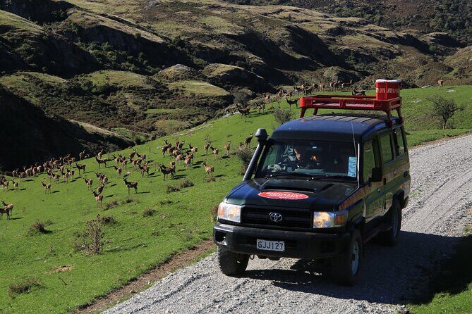 Wild Hills Off Road Safari - Frequently Asked Questions