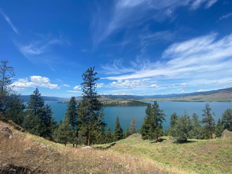 Wild Horse Island/Flathead Lake: Kayak Tour - Practical Tips for Participants