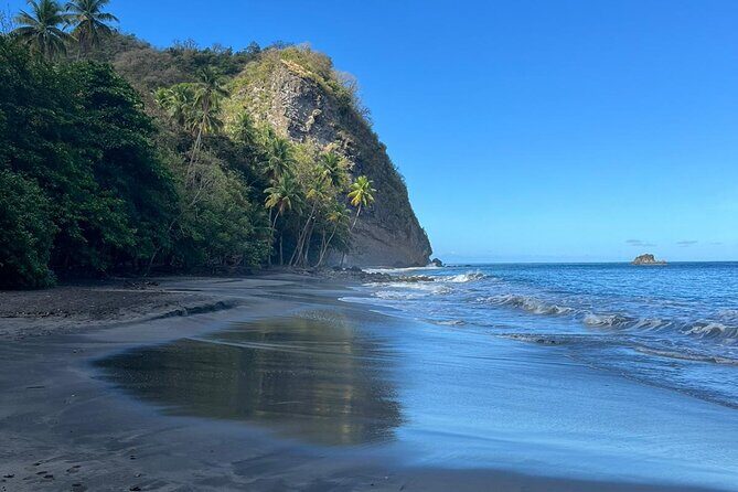 Wild Immersion: Hiking in the Heart of the Rainforest - An In-Depth Look at the Tour Experience