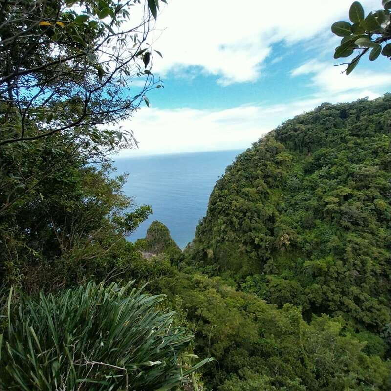 Wild Immersion : Hiking in the Heart of the Tropical Forest - The Sum Up
