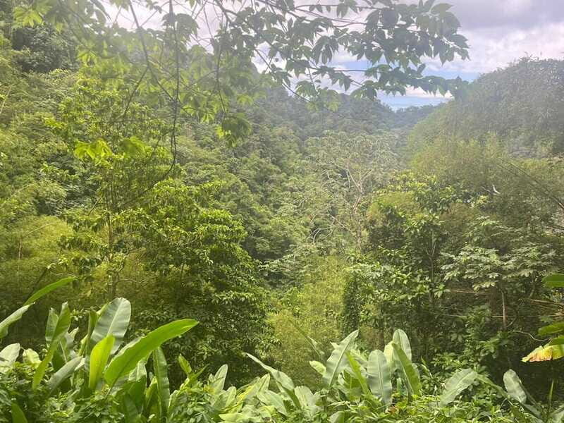 Wild Immersion : Hiking in the Heart of the Tropical Forest - FAQ