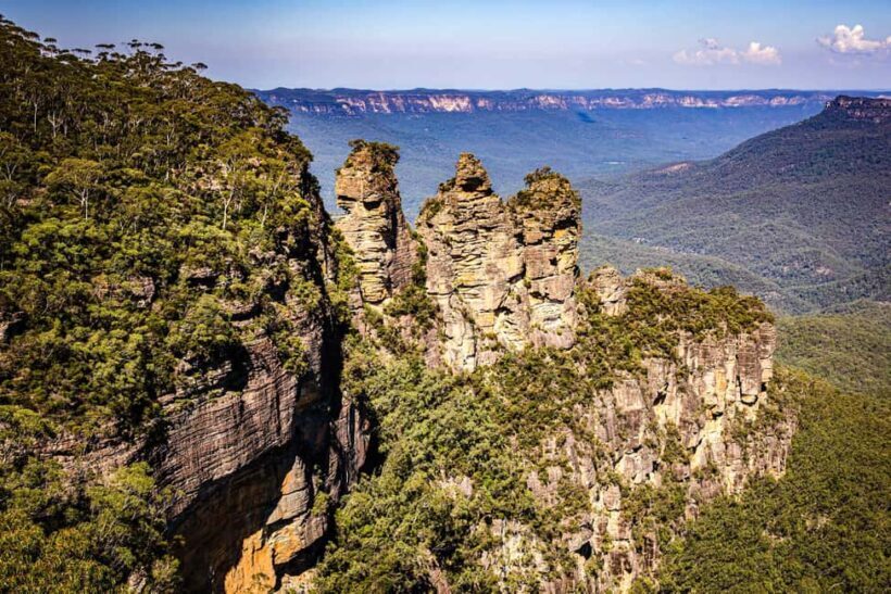 Wild Kangaroos & Blue Mountains private tour - A Deep Dive into the Blue Mountains & Wildlife Experience