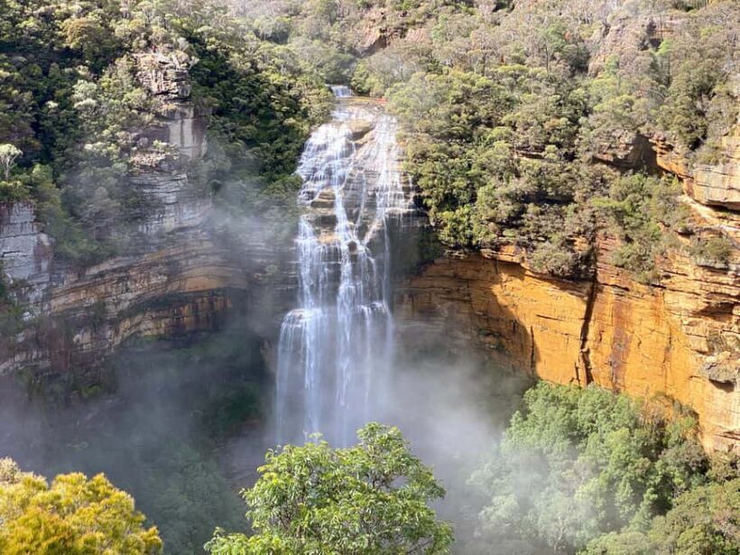Wild Kangaroos & Blue Mountains private tour - Who Will Love This Tour