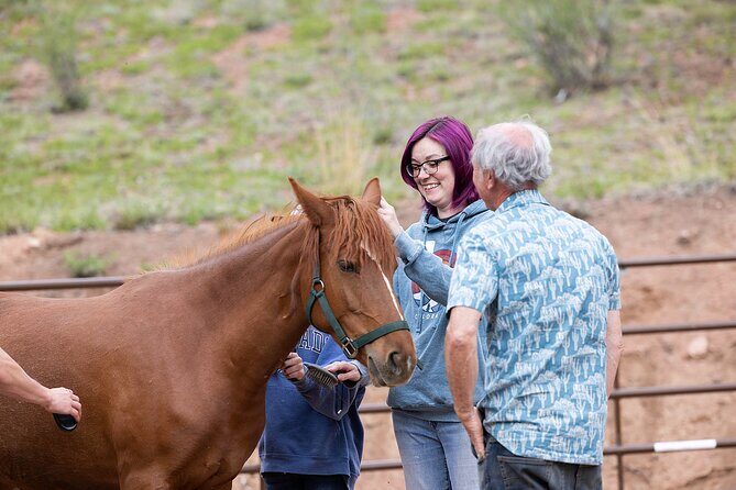 Wild Mustang Experience Near Colorado Springs - Who Should Consider This Experience?