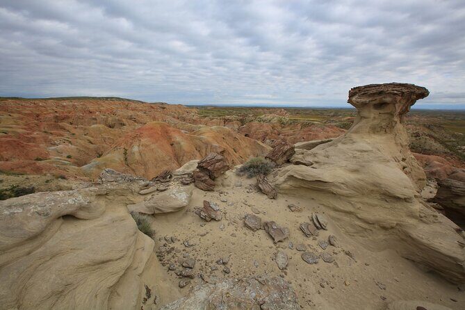 Wild Mustang Half Day Tour - Cody Wyoming - Private - Exploring the Itinerary in Depth