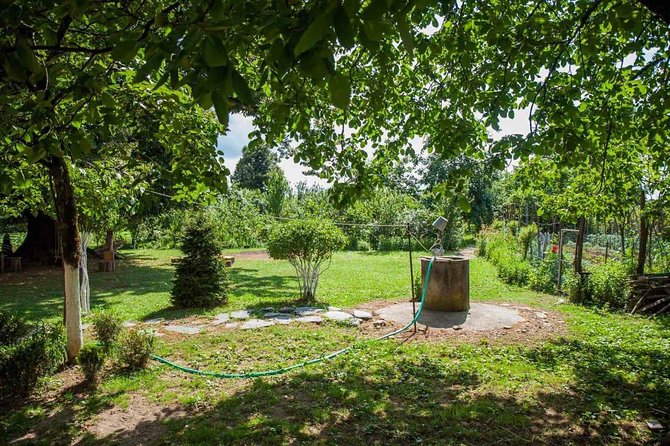 Wild nature of Western Georgia - The Sum Up: Is This Tour Right for You?