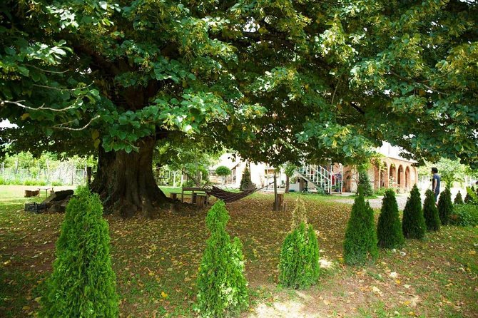 Wild nature of Western Georgia - Frequently Asked Questions