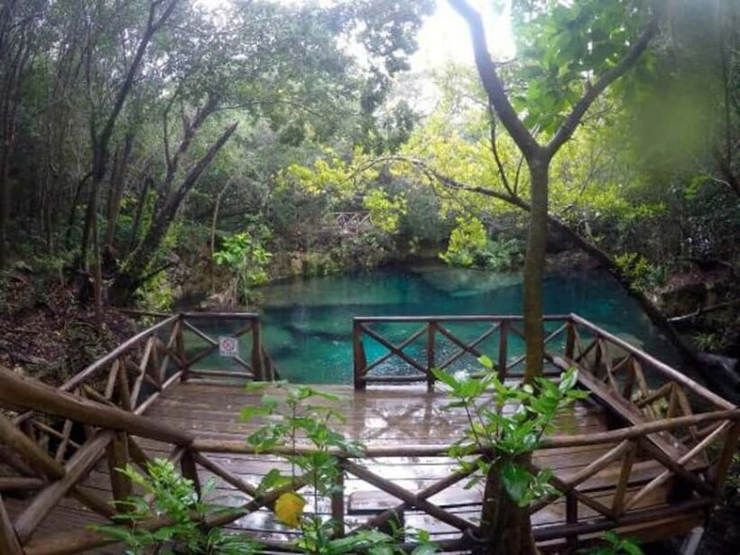 Wild On Punta Cana: Cruise with Snorkeling Half Day - Price and Value Considerations