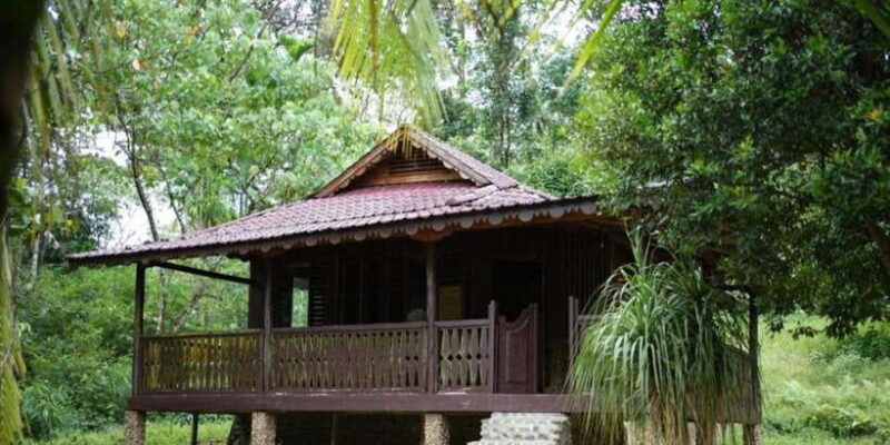 Wild Orangutan Trek: 2-Day Adventure in Gunung Leuser Park - Key Points