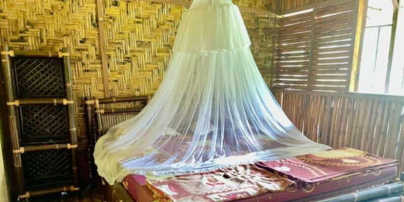 Wild Orangutan Trek: 2-Day Adventure in Gunung Leuser Park - Day Two: Forest Reflections and Return