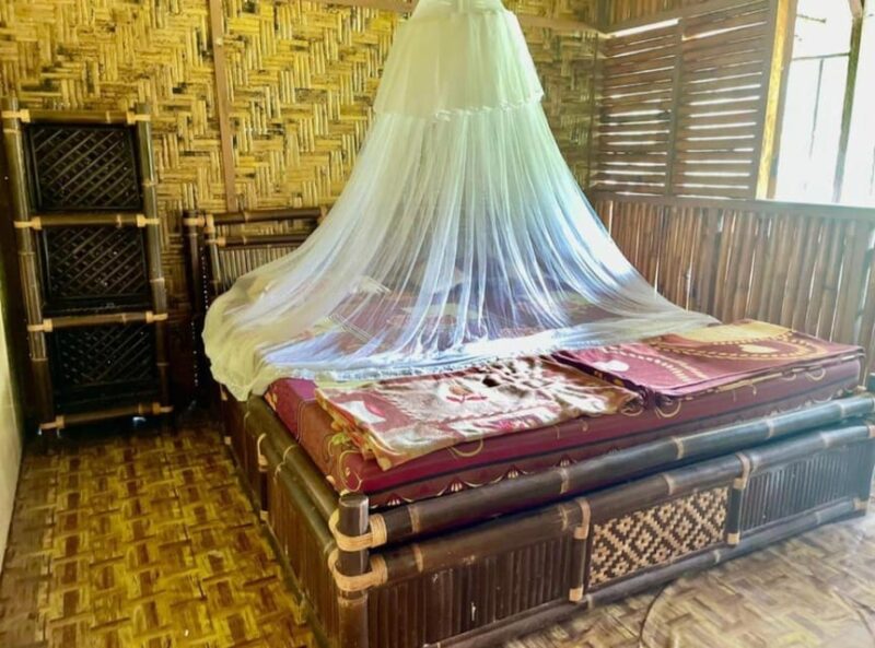 Wild Orangutan Trek: 2-Day Adventure in Gunung Leuser Park - Practical Tips for the Trek