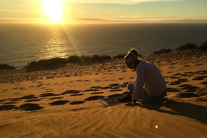 Wild Penguins,Birds,Sandboard,Chilean Drinks & Food/From Valpo - Key Points