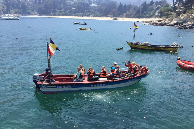 Wild Penguins,Birds,Sandboard,Chilean Drinks & Food/From Valpo - Travelers Praises and Recommendations