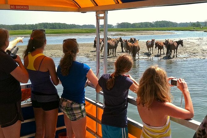 Wild Pony Watching Boat Tour from Chincoteague to Assateague - FAQs