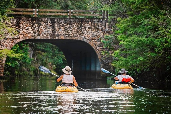 Wild & Scenic Loxahatchee River Guided Tour - Inclusions and Accessibility